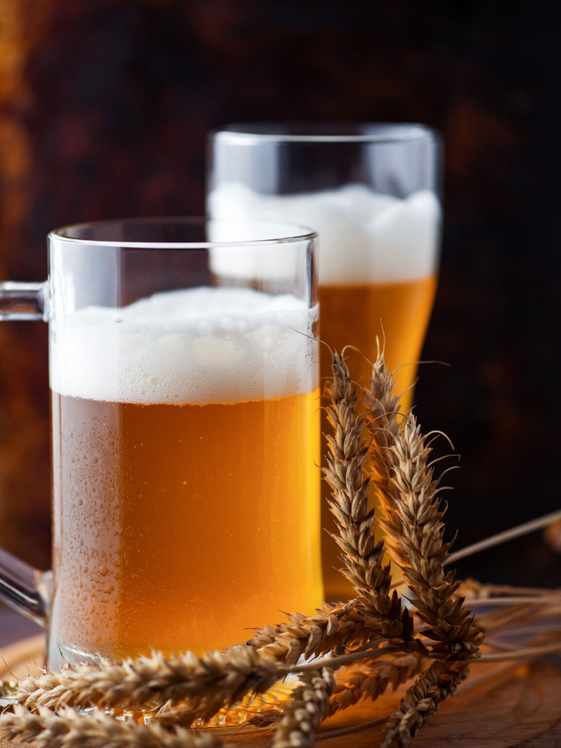 Electrifying Canada’s premium spirits scene: True Wild Distilling opens ...