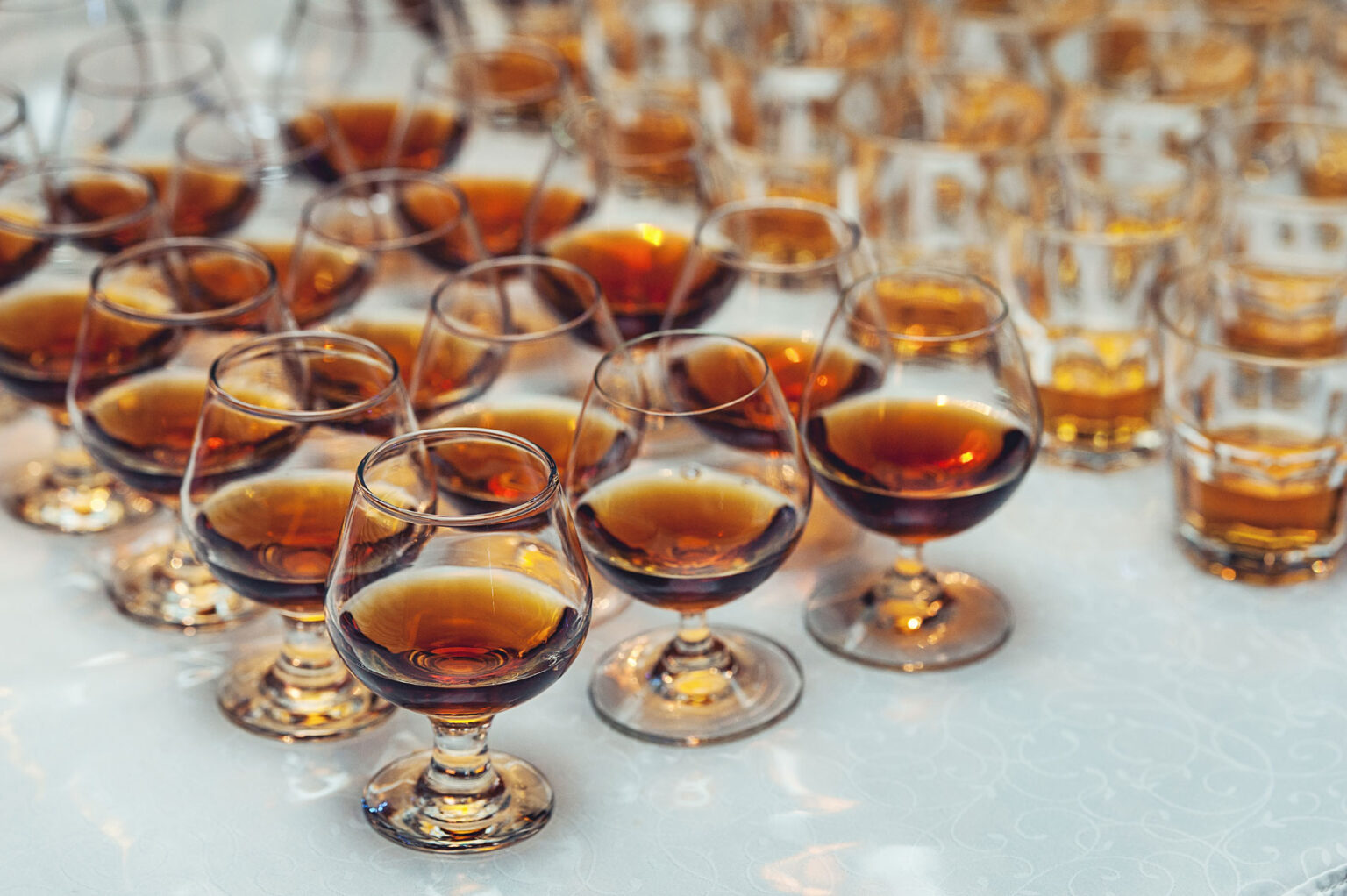 Electrifying Canada’s premium spirits scene: True Wild Distilling opens ...